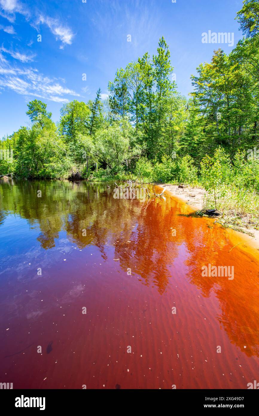 Lake in northern Wisconsin in July, vertical Stock Photo - Alamy