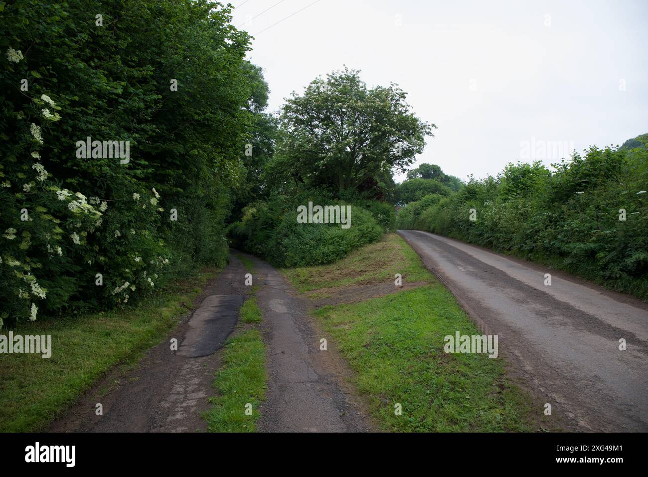 Two roads diverged hi-res stock photography and images - Alamy