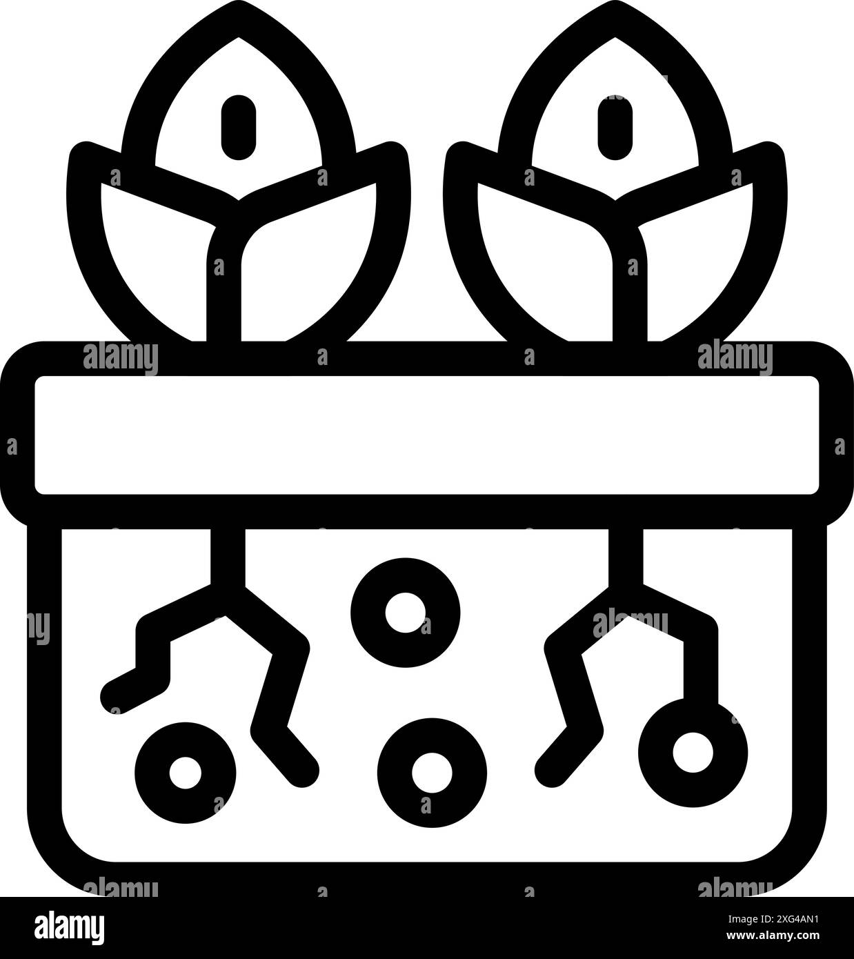 Cross section of flower pot Black and White Stock Photos & Images - Alamy