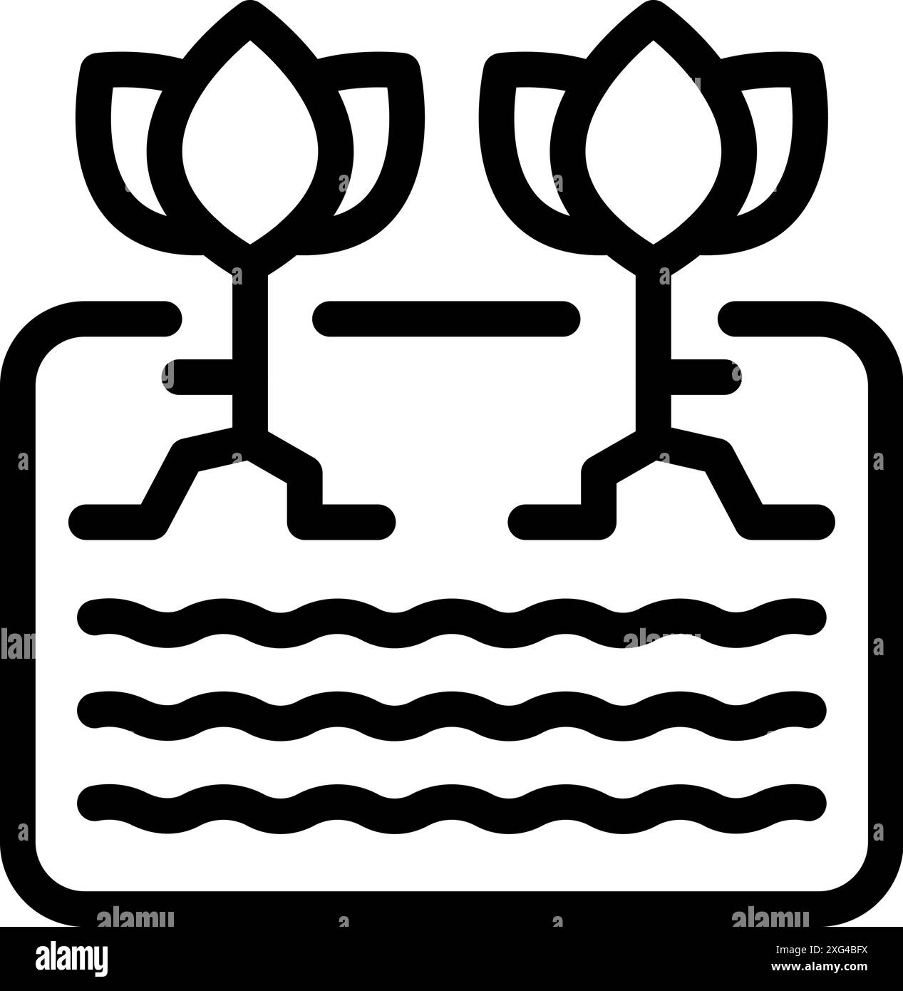 Plants growing in water with their roots submerged, representing a ...