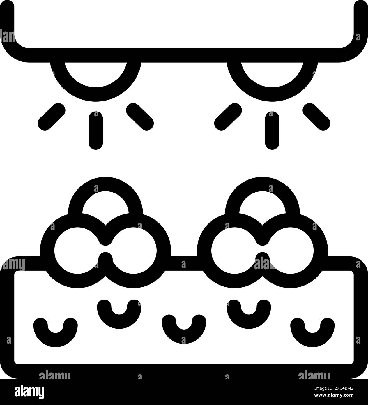 Modern technology being used to grow plants indoors using artificial ...