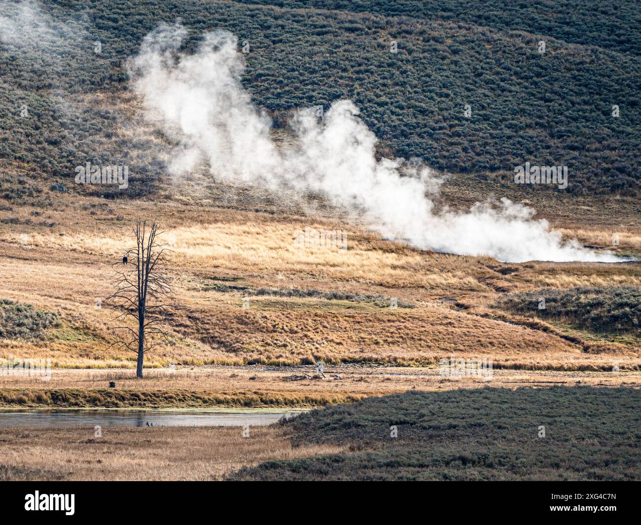 Yellowstone National Park and the area just beyond the gates is ...