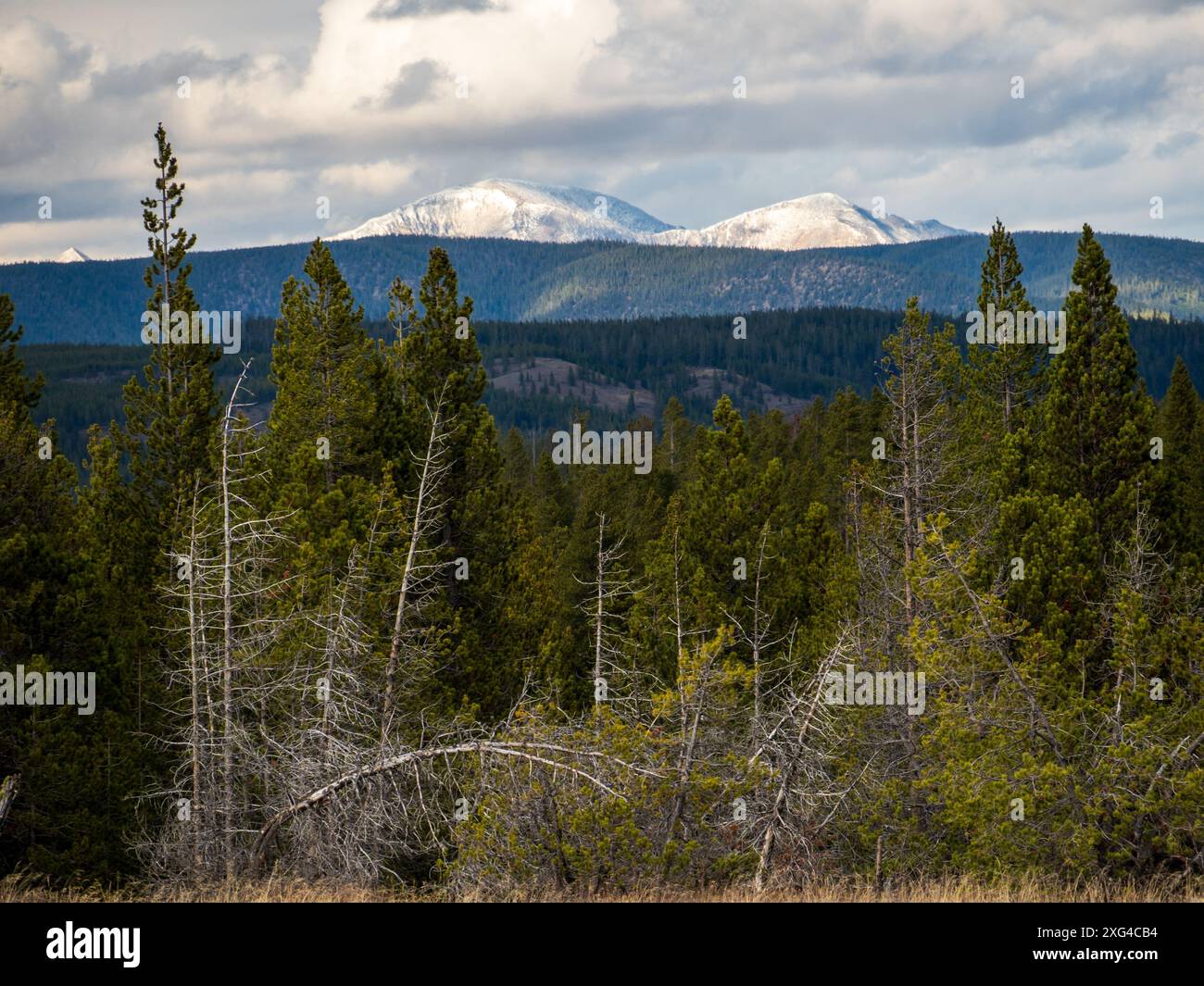 Yellowstone National Park and the area just beyond the gates is ...