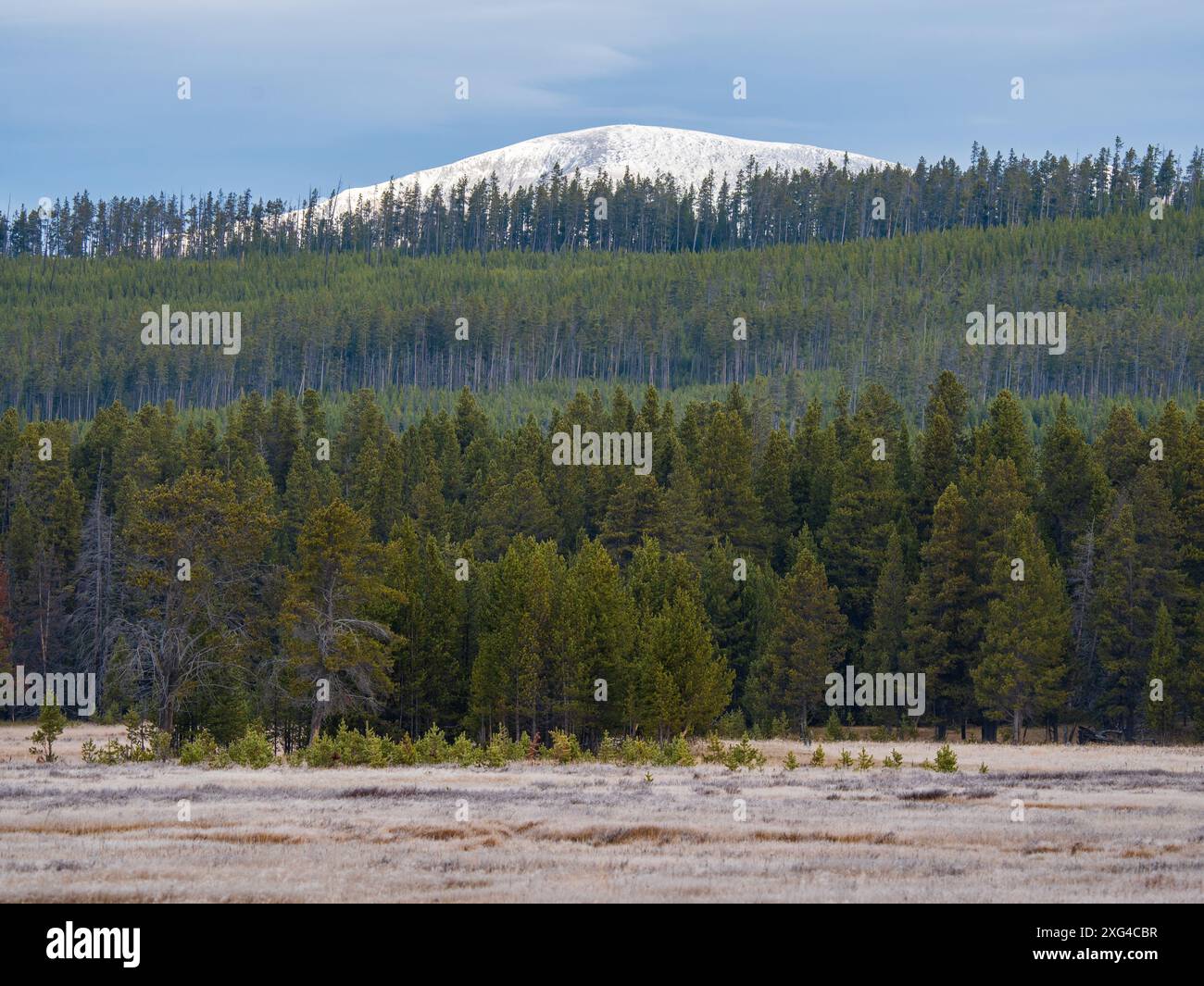 Yellowstone National Park and the area just beyond the gates is ...