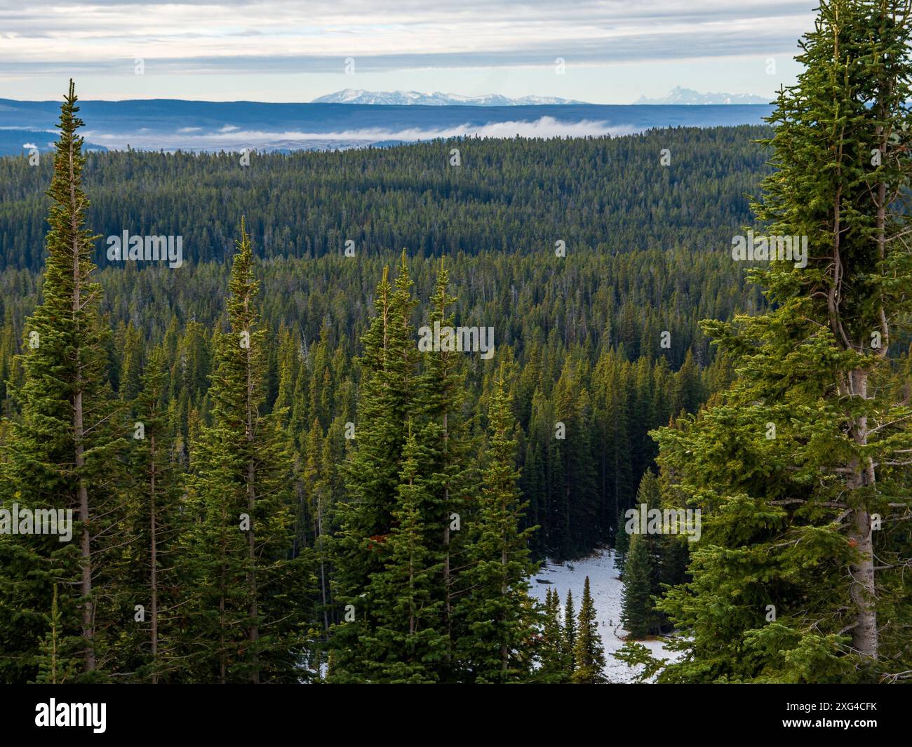 Yellowstone National Park and the area just beyond the gates is ...
