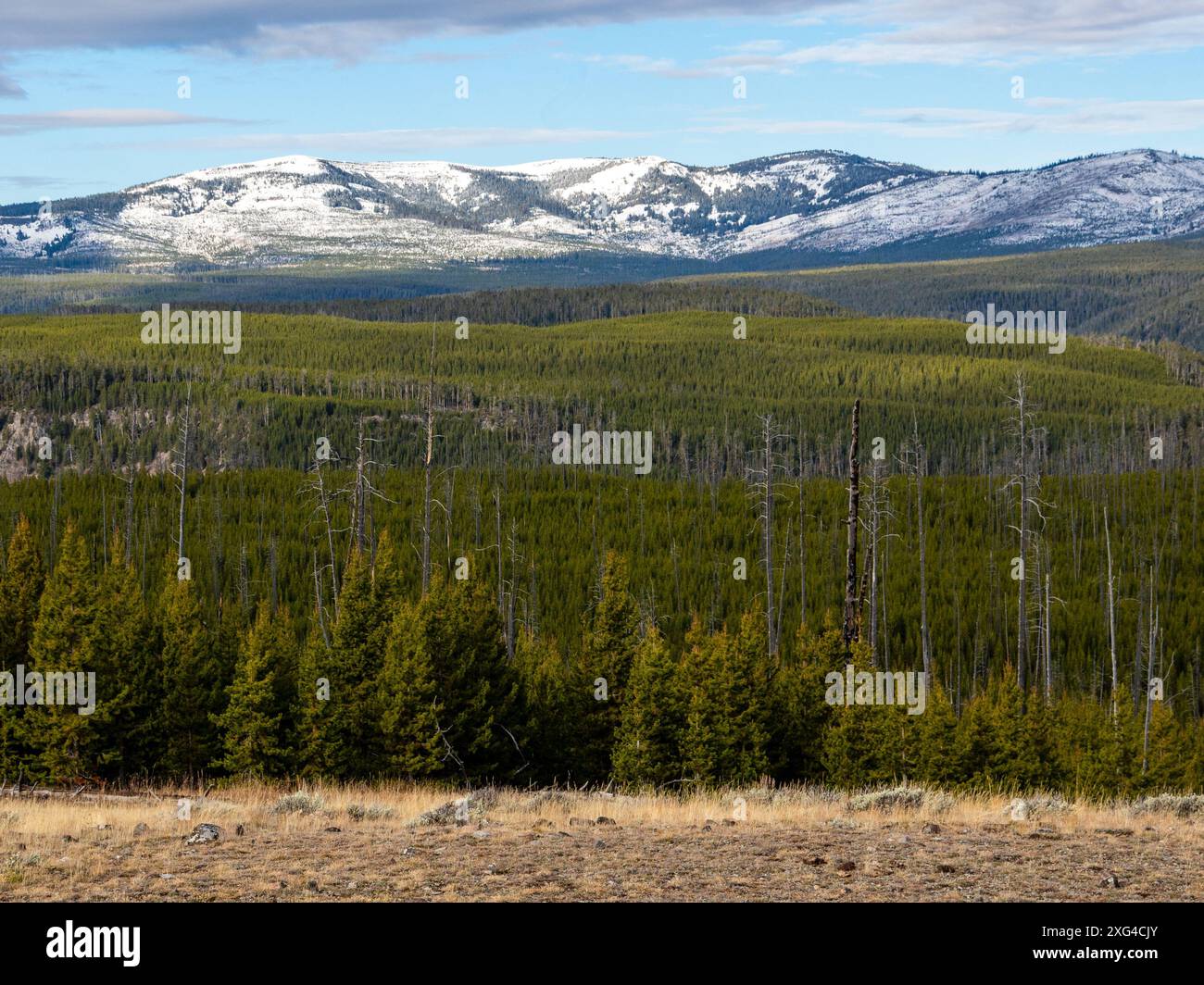 Yellowstone National Park and the area just beyond the gates is ...