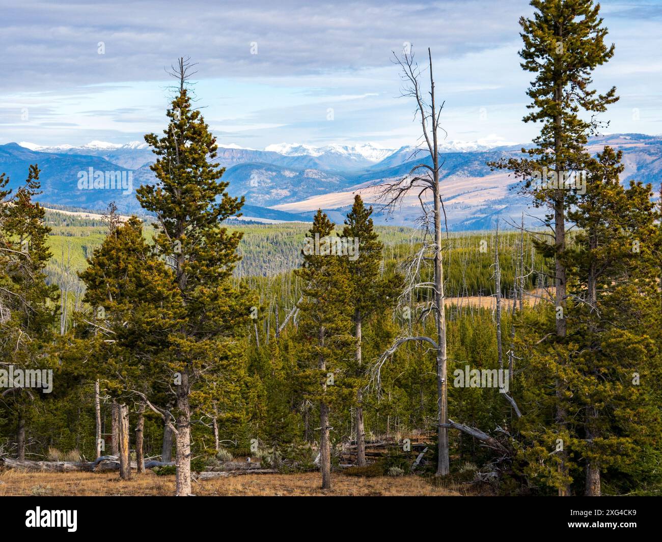 Yellowstone National Park and the area just beyond the gates is ...