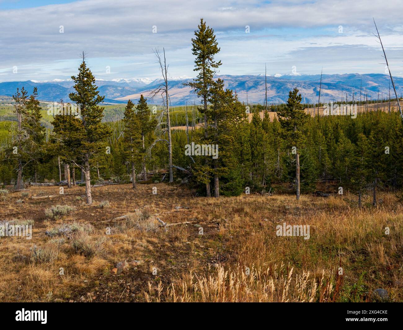 Yellowstone National Park and the area just beyond the gates is ...