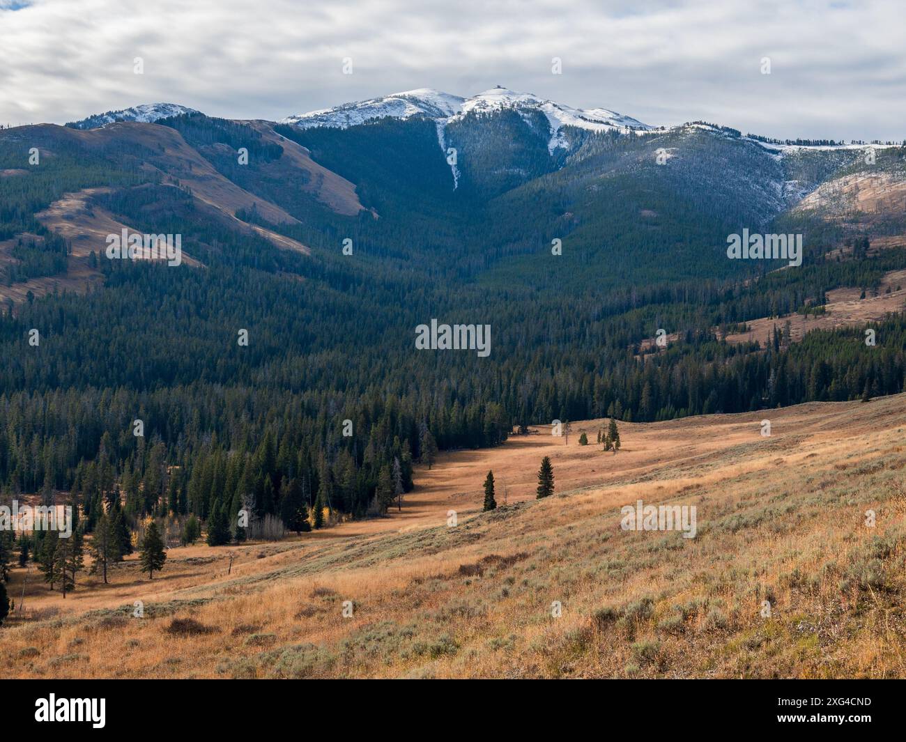 Yellowstone National Park and the area just beyond the gates is ...