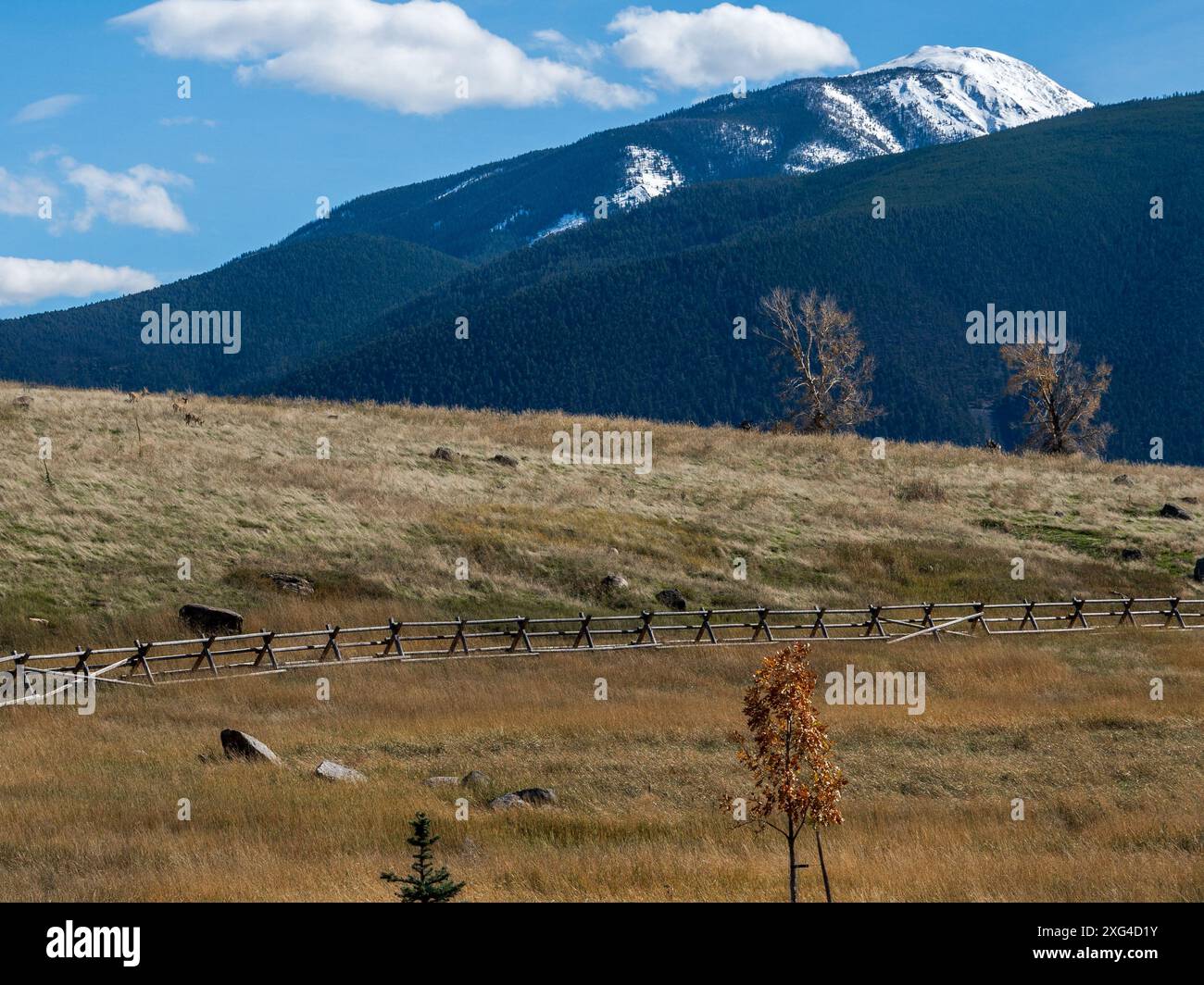Yellowstone National Park and the area just beyond the gates is ...