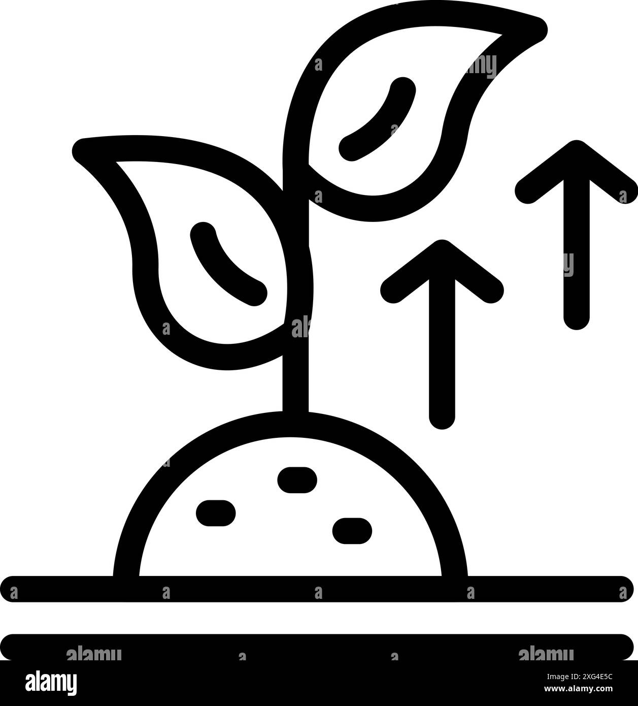 Roots showing Black and White Stock Photos & Images - Alamy