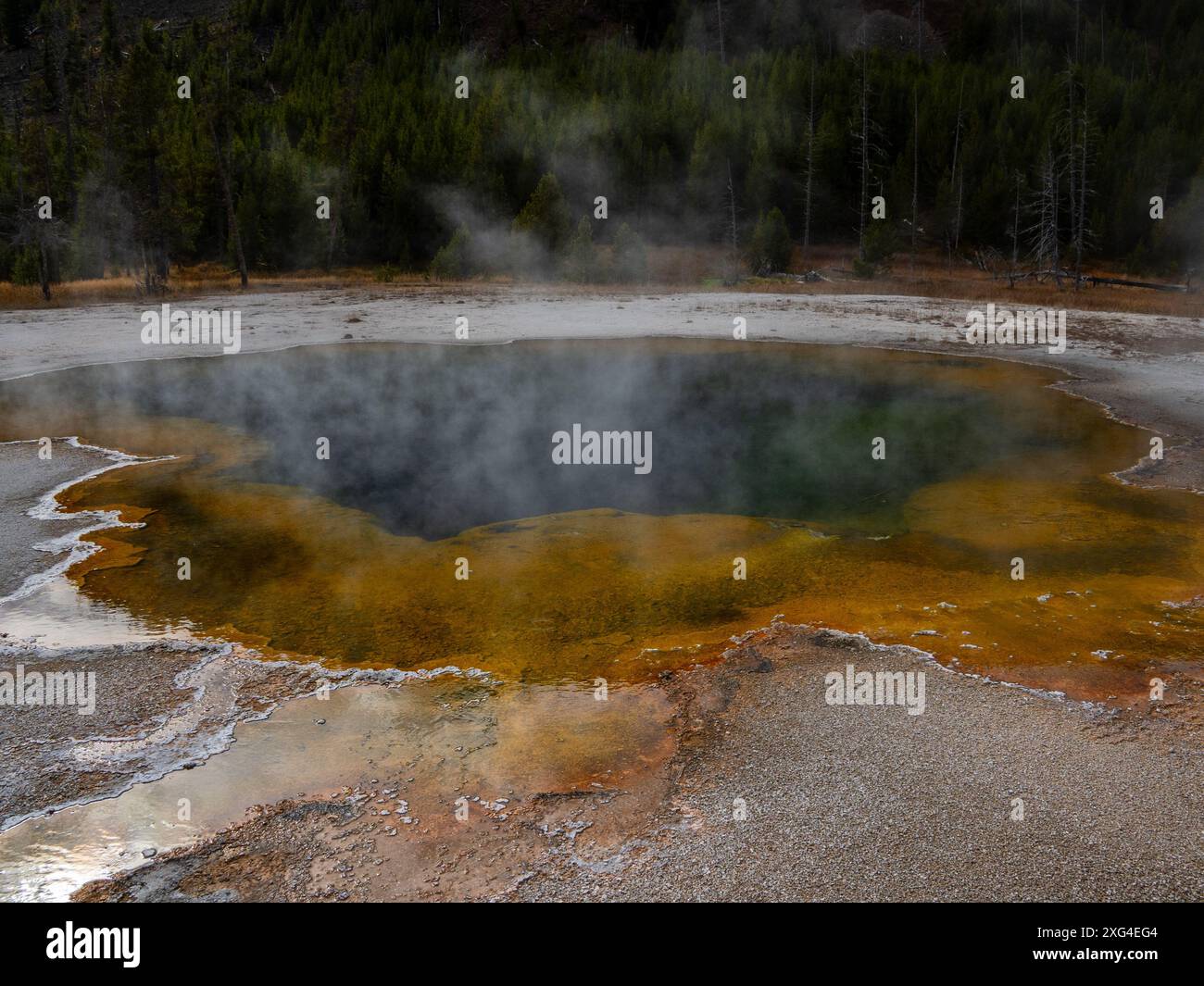 Sitting atop a massive super volcano, Yellowstone National Park is home ...