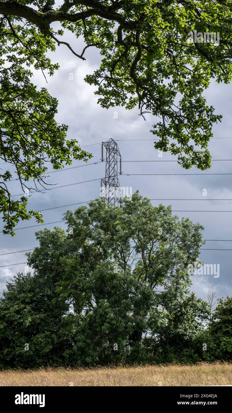 Pylon run hi-res stock photography and images - Alamy