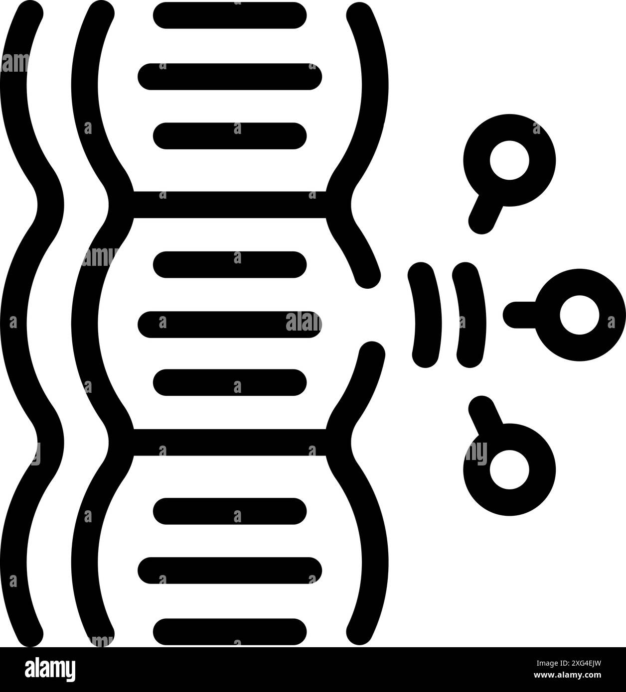 Black icon representing sound waves analyzing a dna strand, for ...