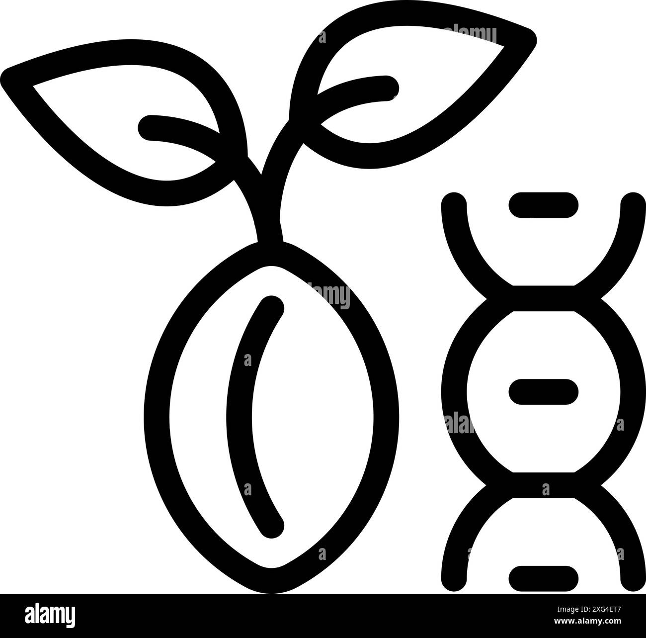 Seed modification Black and White Stock Photos & Images - Alamy