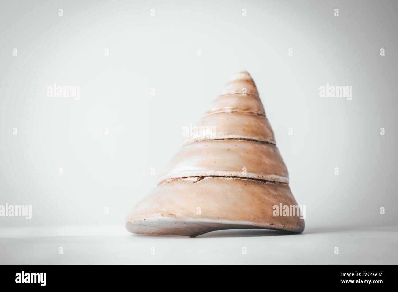 Cone shaped shell hi-res stock photography and images - Alamy