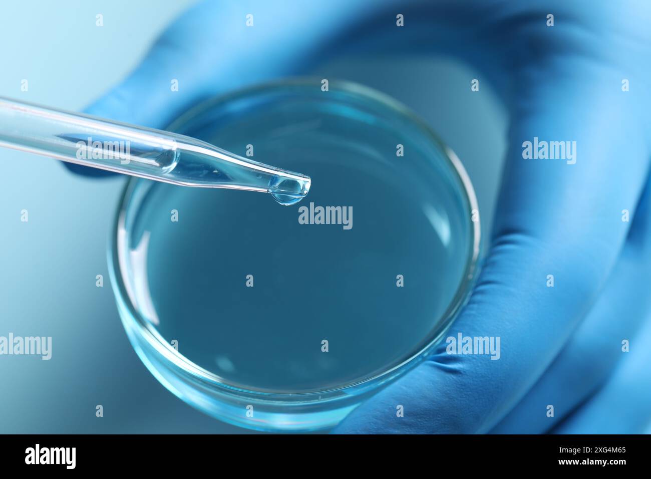 Doctor dripping liquid from pipette into petri dish at light blue table ...