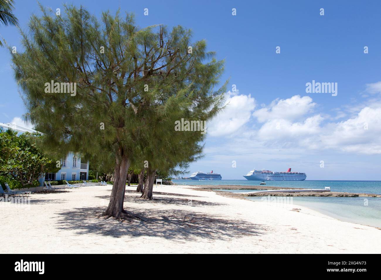 The view of tall trees on Grand Cayman island Seven Mile Beach with ...