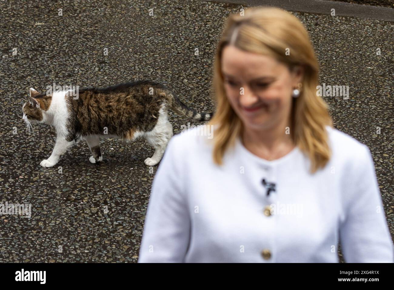 London, UK. 5th July, 2024. Larry, the well-known domestic tabby cat ...