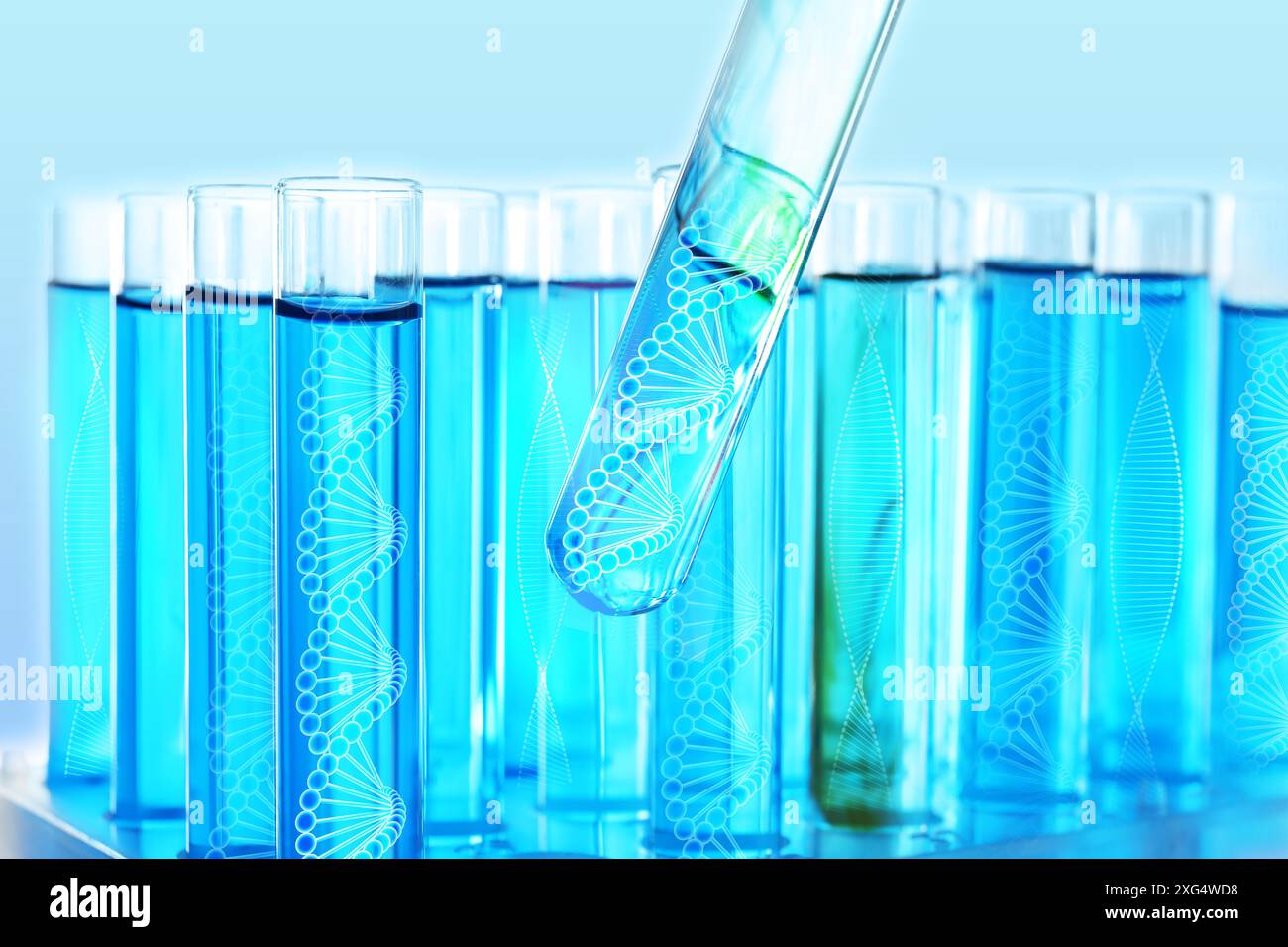 Test tubes with different illustrations of DNA in laboratory, closeup ...