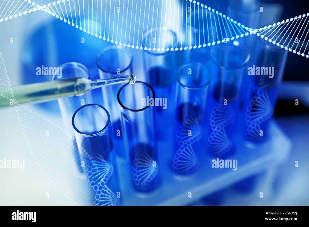 Illustrations of DNA and test tubes with samples, double exposure Stock ...