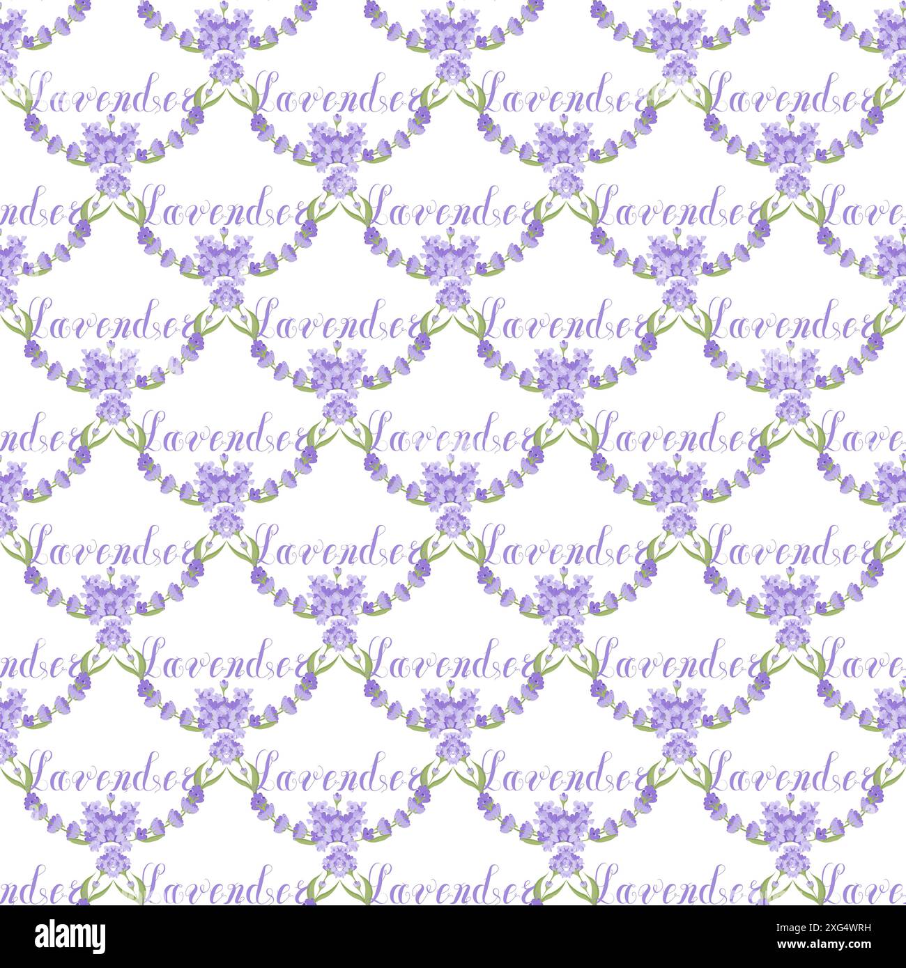 Lavender. Seamless pattern with flowers and the calligraphic word ...