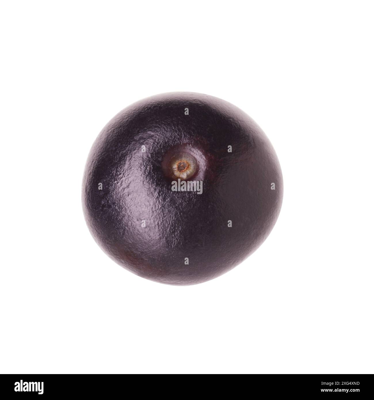 Acai berry white background hi-res stock photography and images - Alamy
