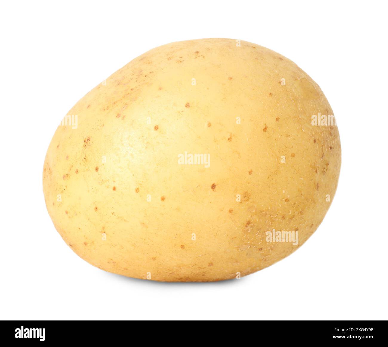 One young fresh potato isolated on white Stock Photo - Alamy