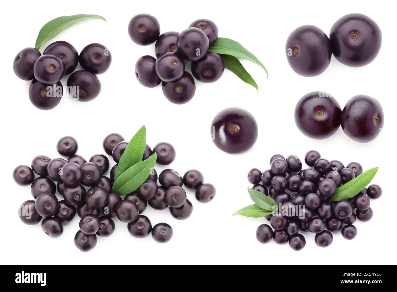 Set of acai berries with green leaves isolated on white Stock Photo - Alamy