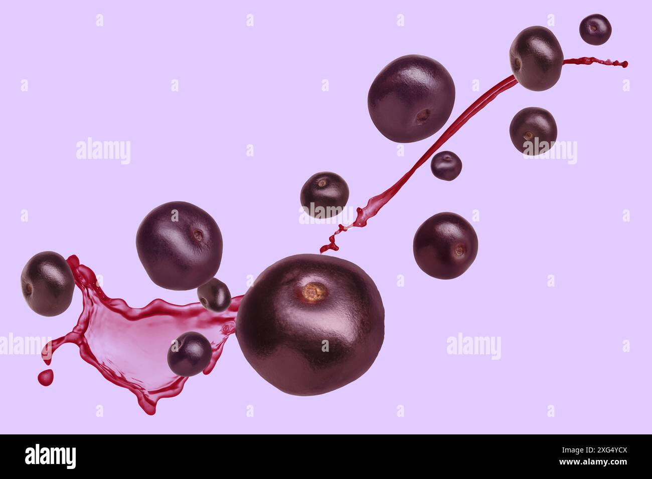 Acai berries and splash of juice in air on violet background Stock ...
