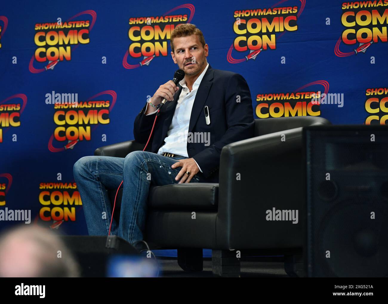 David Boreanaz 2024