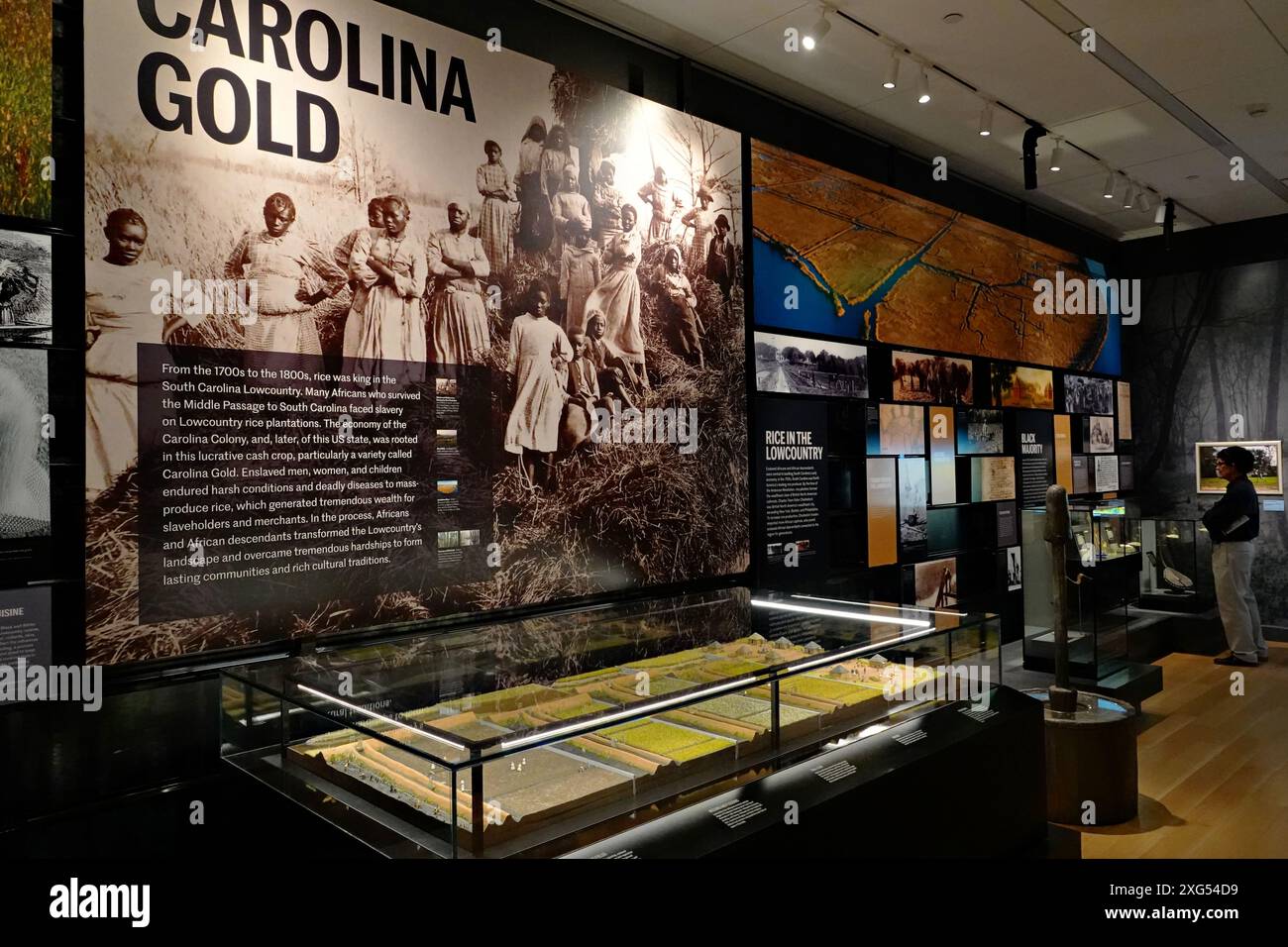 A display featuring the history of Carolina Gold rice at the ...