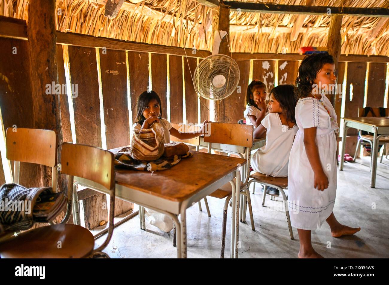 Arahuaco indigenous children at the Jimain rural school near Pueblo ...