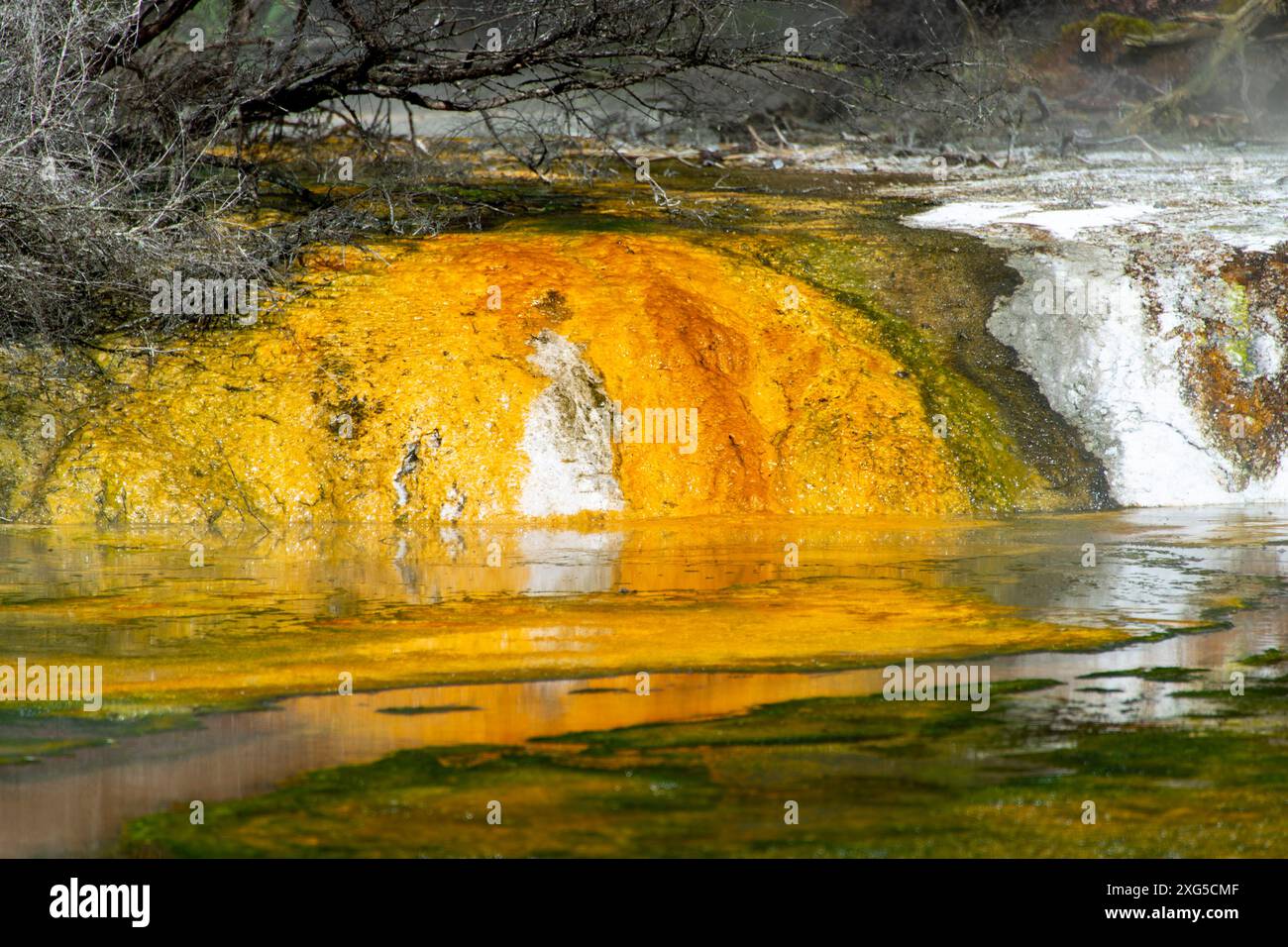 Warbrick terrace hi-res stock photography and images - Alamy