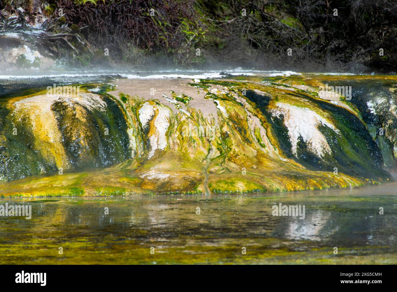 Warbrick hi-res stock photography and images - Alamy