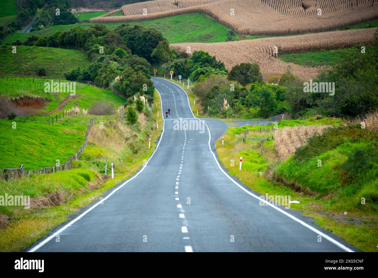 New zealand car road hi-res stock photography and images - Alamy