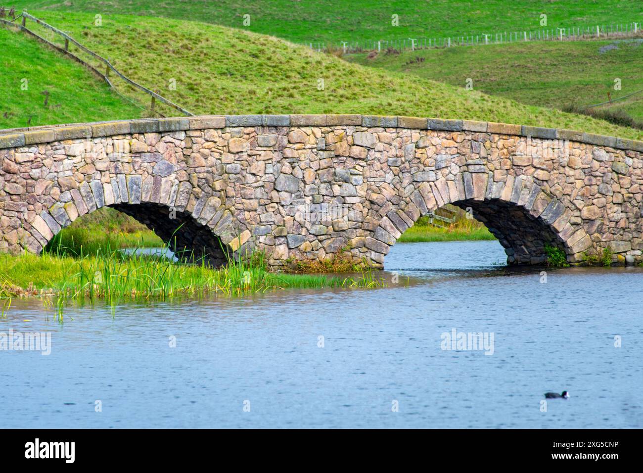 Pond bridge hi-res stock photography and images - Alamy