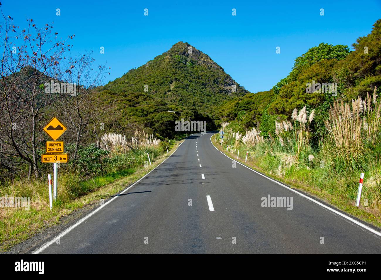 New Zealand State Highway 12 (Twin Coast Discovery Highway Stock Photo ...