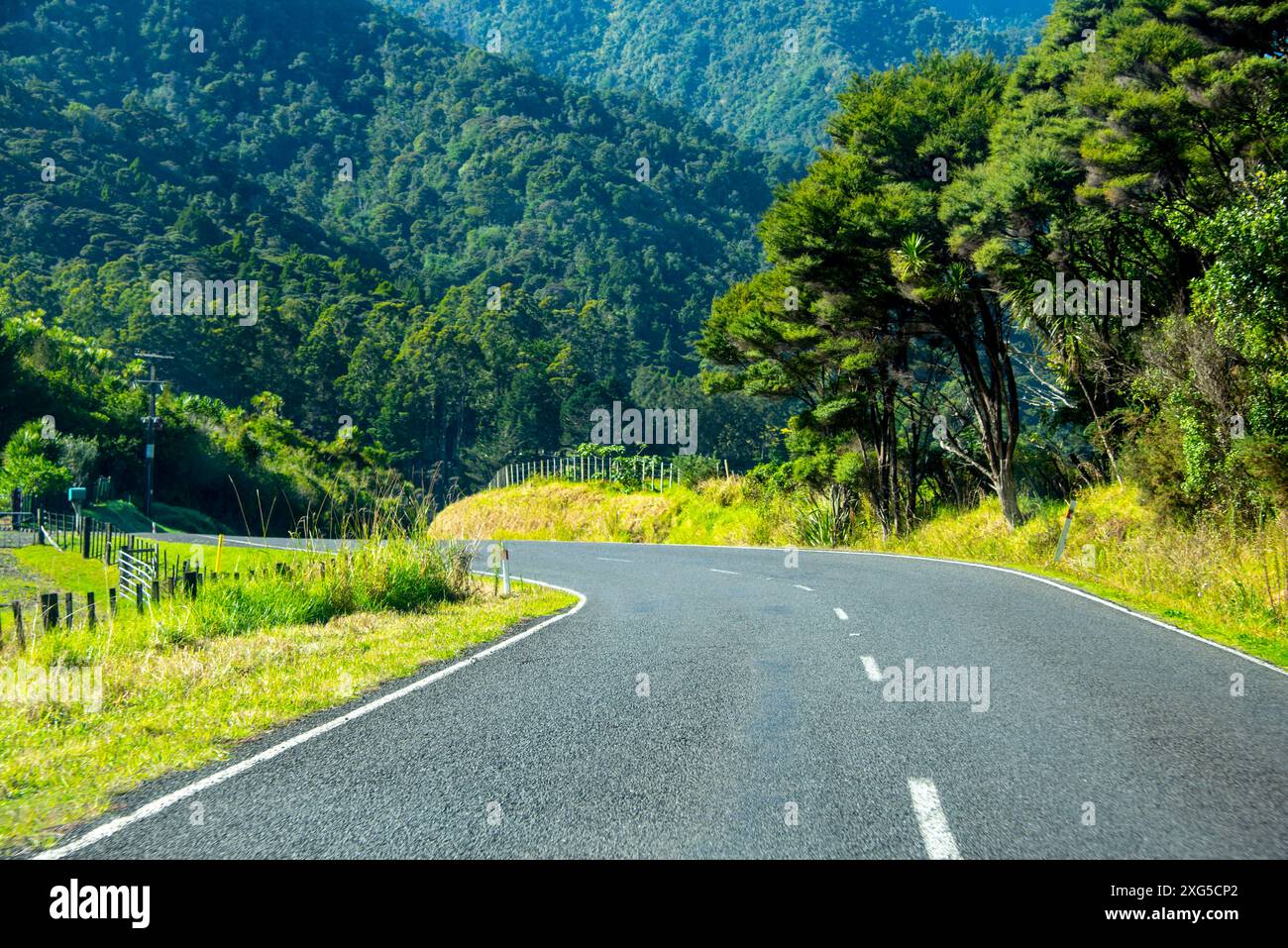 New Zealand State Highway 12 (Twin Coast Discovery Highway Stock Photo ...