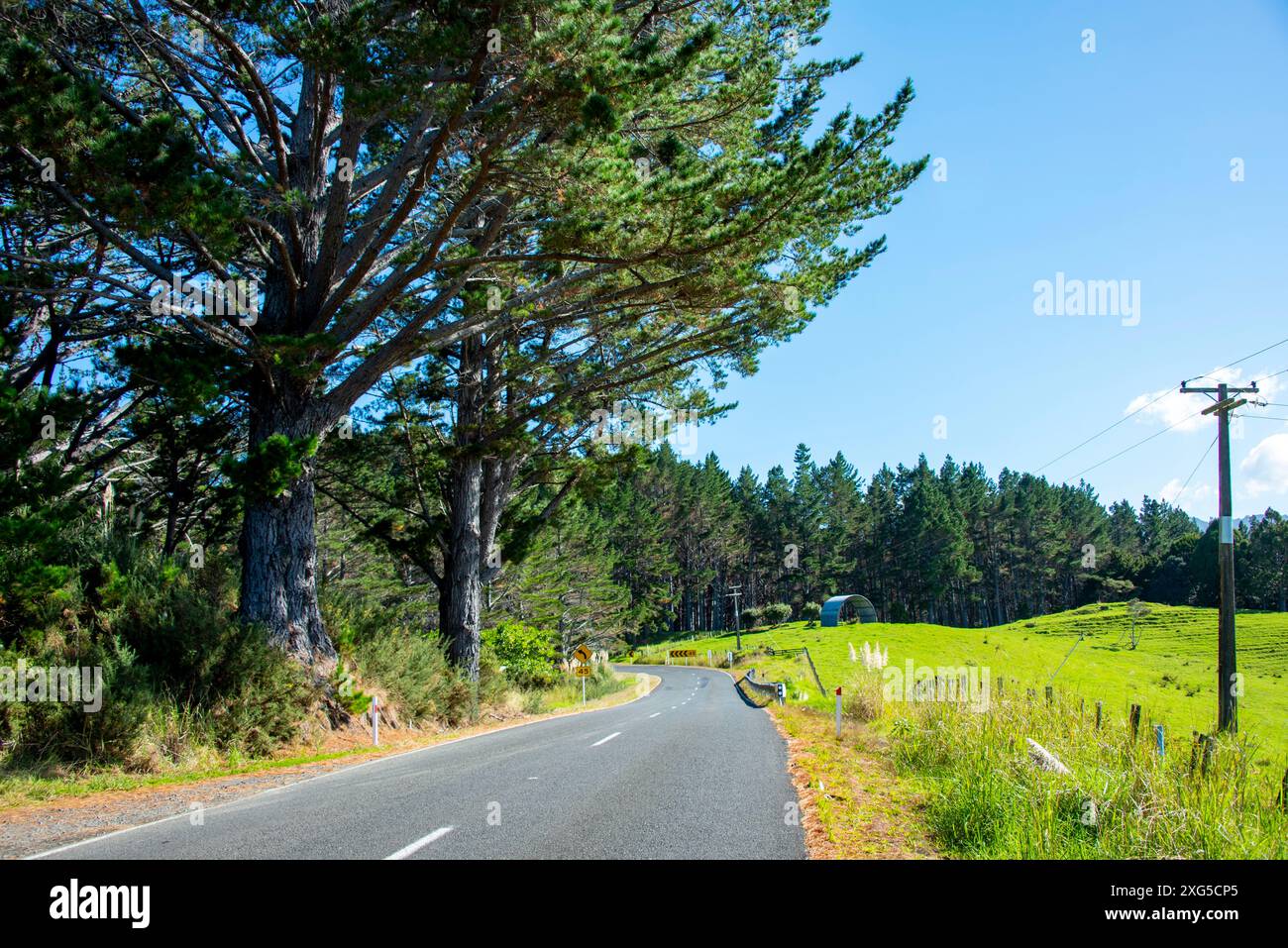 New Zealand State Highway 12 (Twin Coast Discovery Highway Stock Photo ...