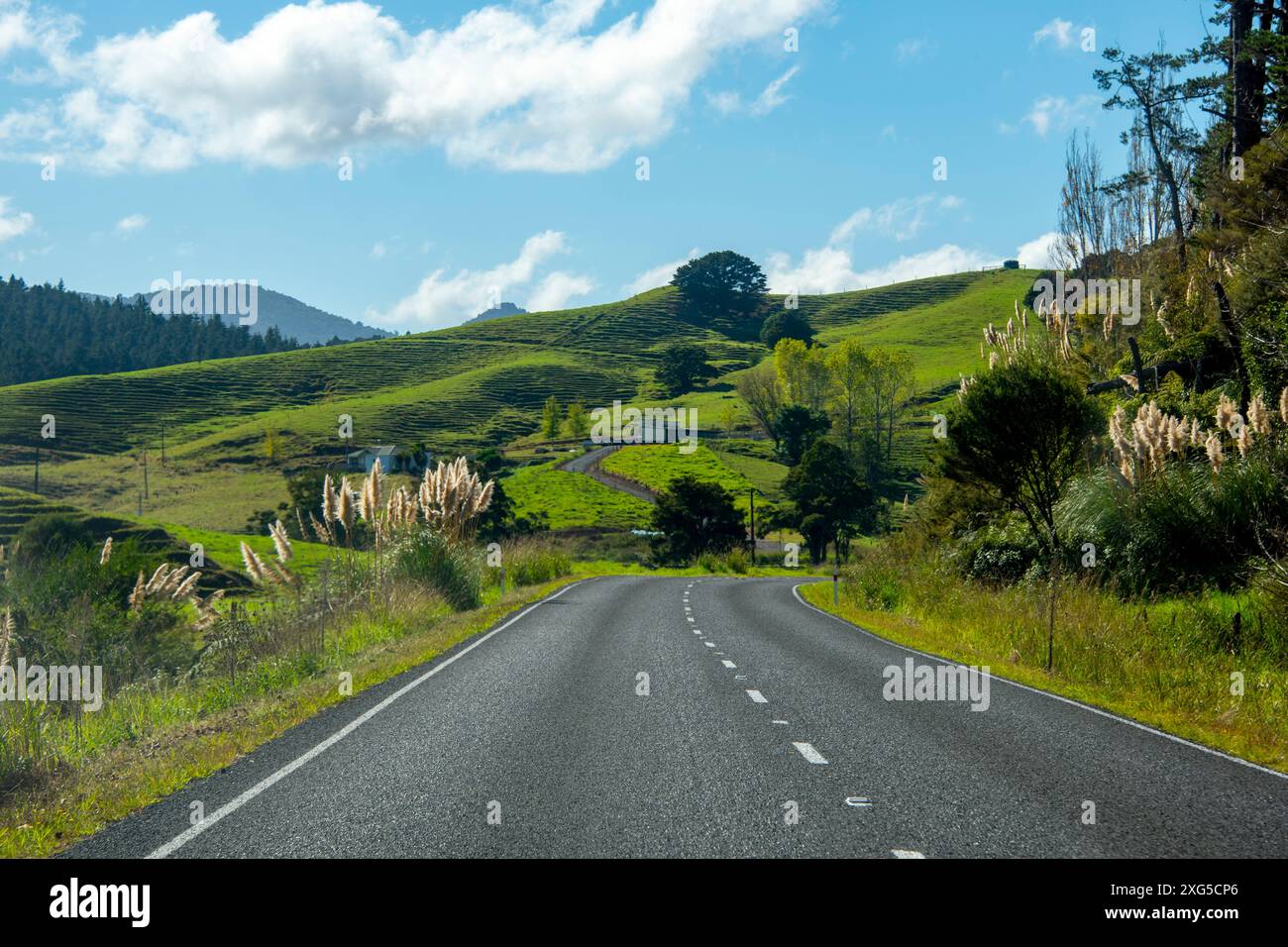New Zealand State Highway 12 (Twin Coast Discovery Highway Stock Photo ...