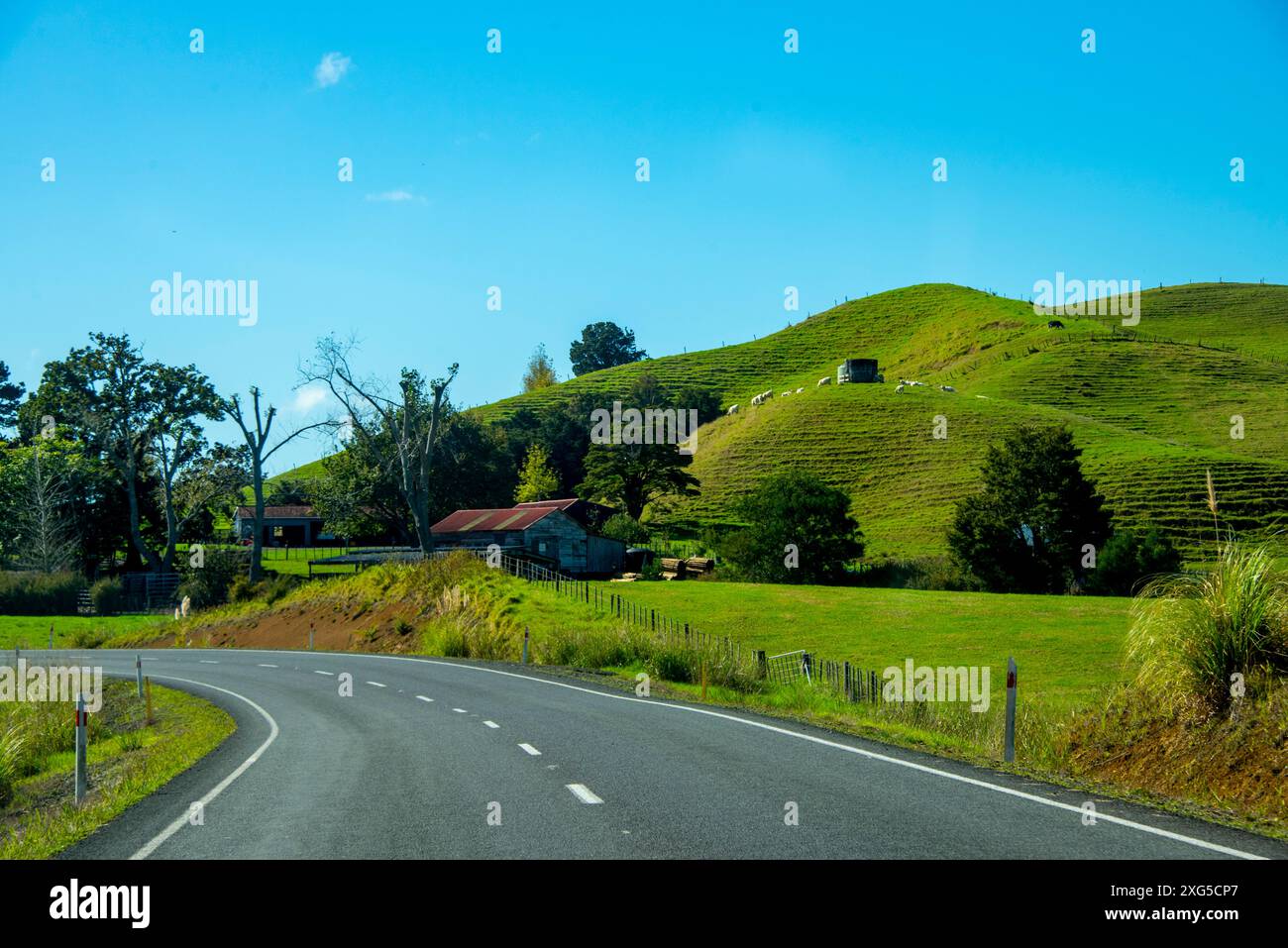New Zealand State Highway 12 (Twin Coast Discovery Highway Stock Photo ...