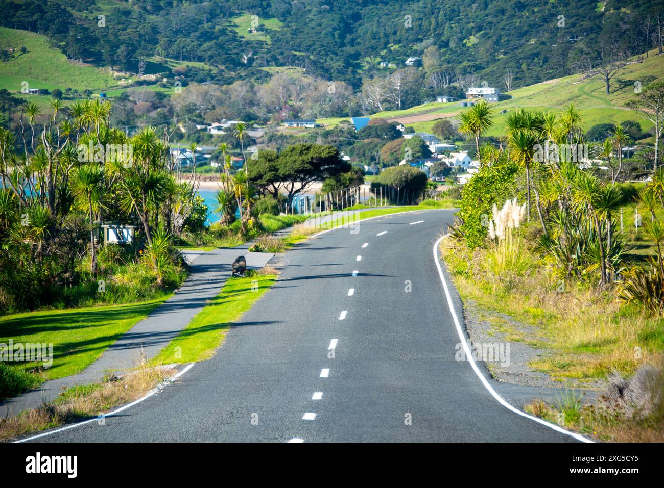 New Zealand State Highway 12 (Twin Coast Discovery Highway Stock Photo ...