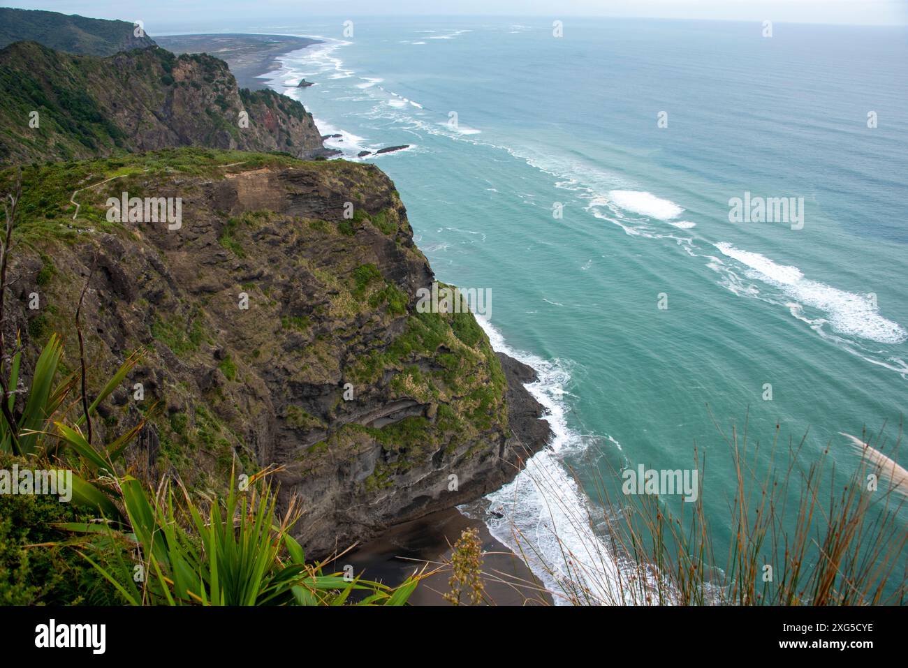 Piha valley track hi-res stock photography and images - Alamy