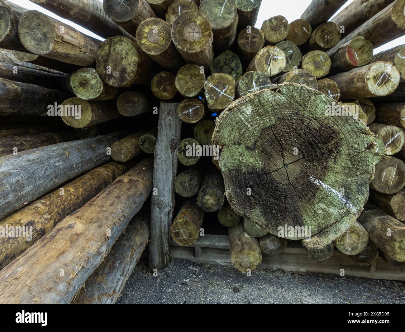 Unorganized manner hi-res stock photography and images - Alamy