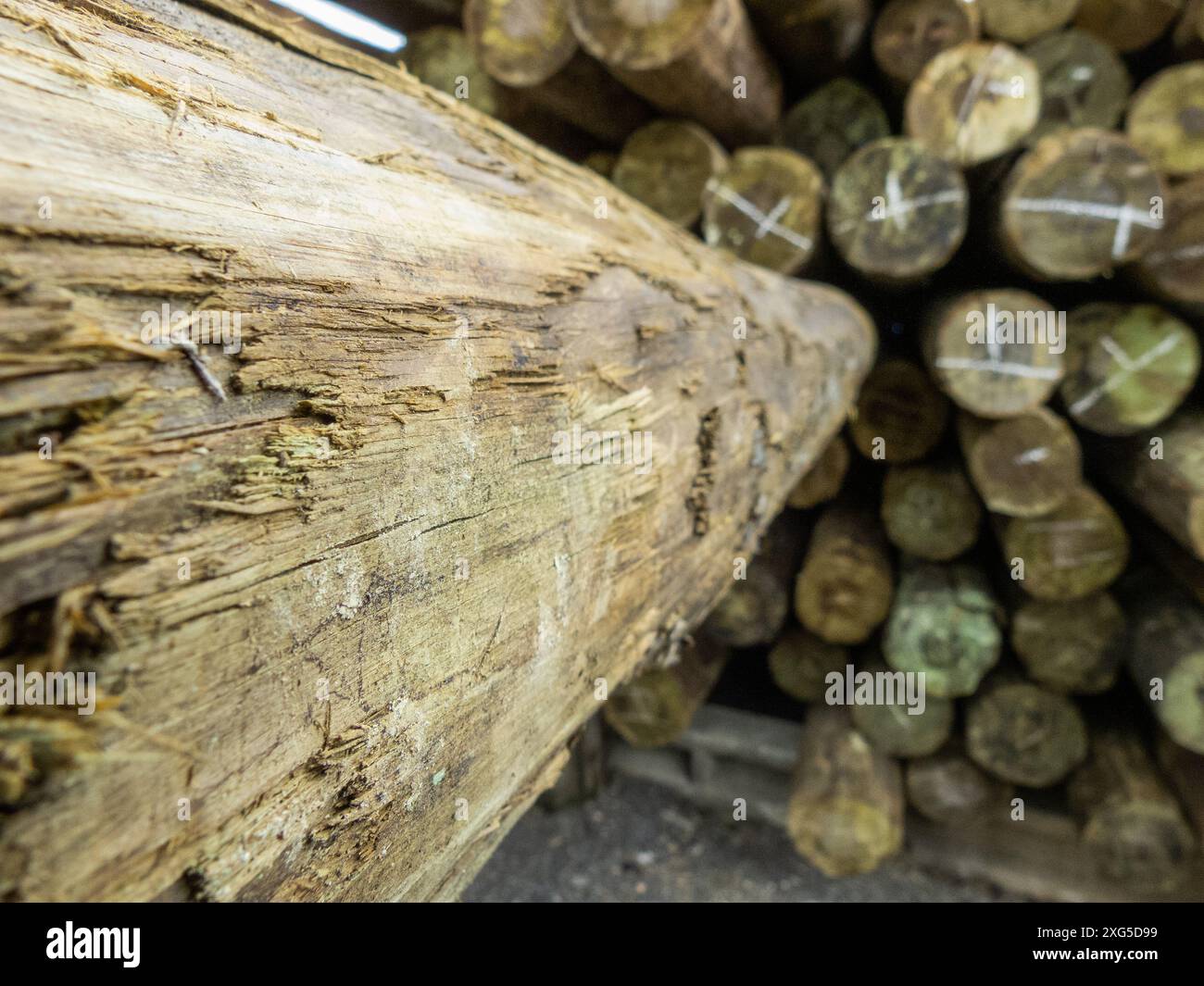 Unorganized manner hi-res stock photography and images - Alamy