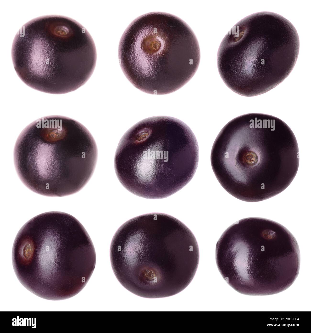 Set of acai berries isolated on white Stock Photo - Alamy