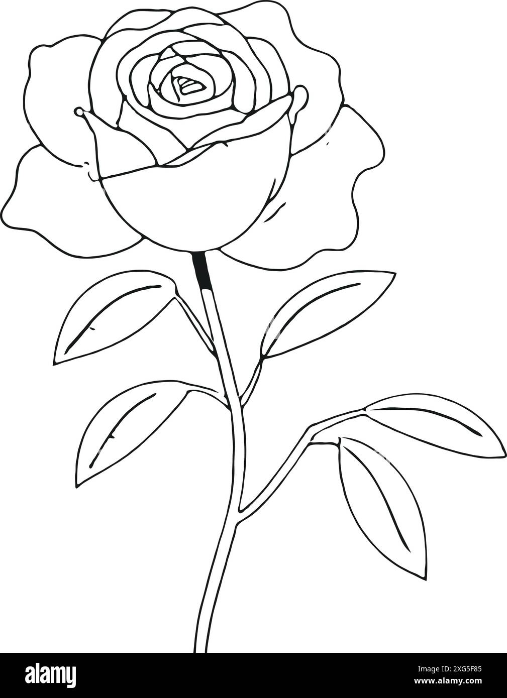 Rose vector collection Black and White Stock Photos & Images - Alamy