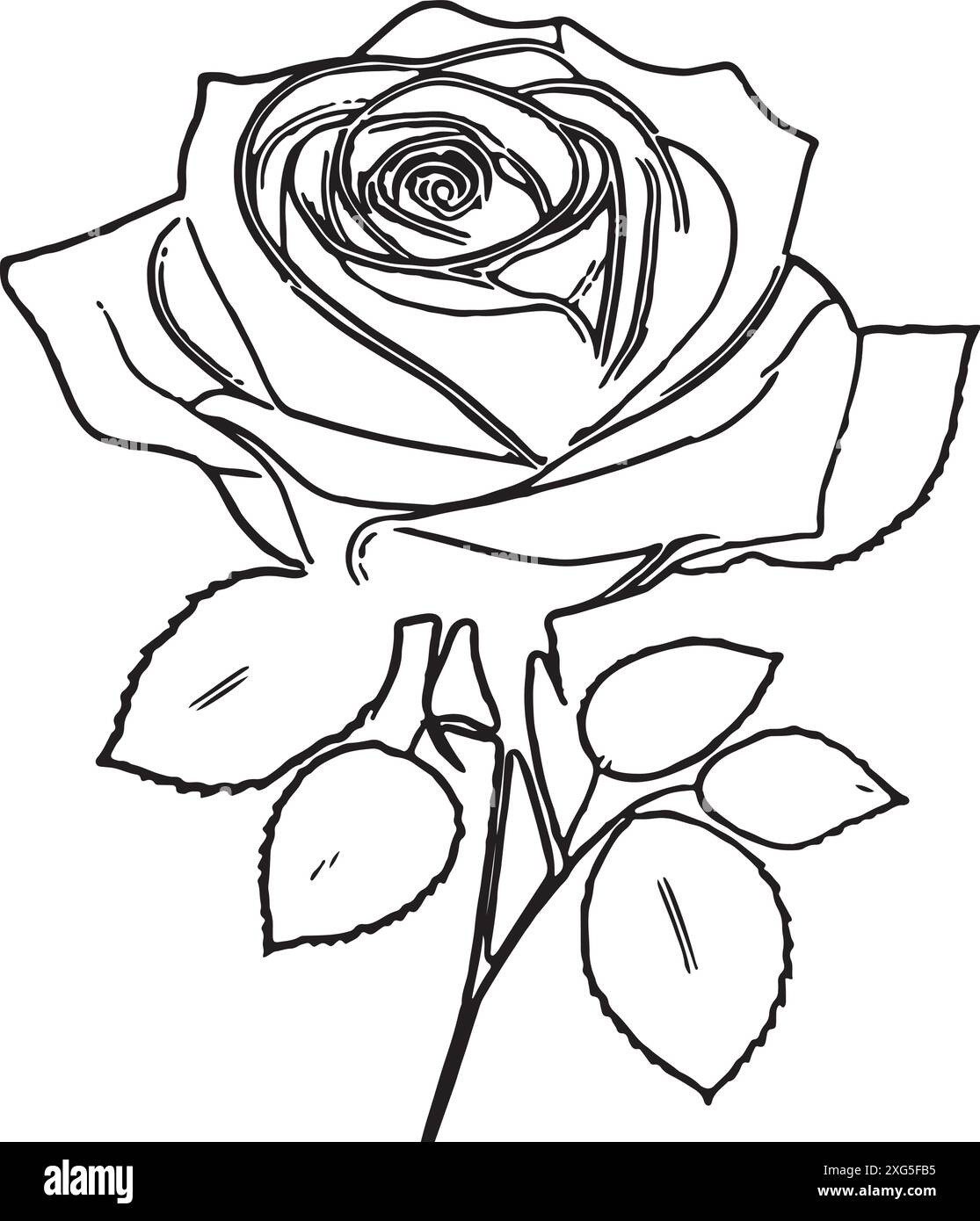 Rose vector collection Black and White Stock Photos & Images - Alamy