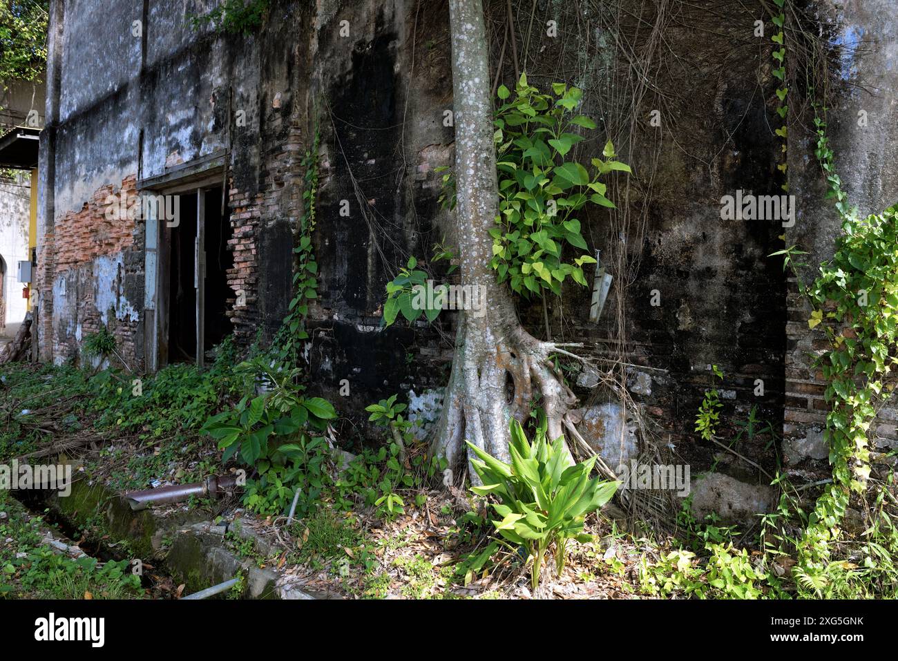View of dilapidated and abandoned tin mining town of Papan in the ...